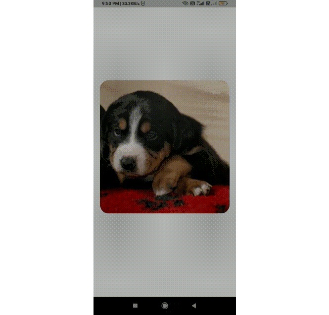 Flutter Rest API Integration Flutter Rest API Integration